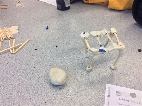 Image result for Main Types of Structure Shell Frame Kids