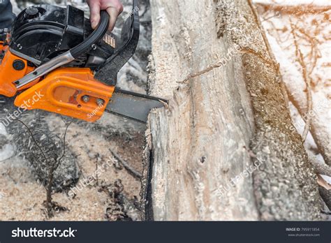 Image result for Tree Saws Hand