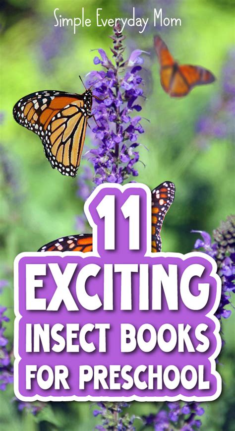 Image result for First Grade Insect Books