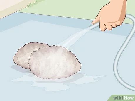 Image result for How to Polish Paua Shells