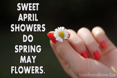 Image result for Spring Short