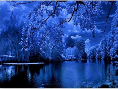 Image result for How Beautiful Blue