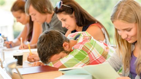 Image result for Sleep Is Essential for Learning