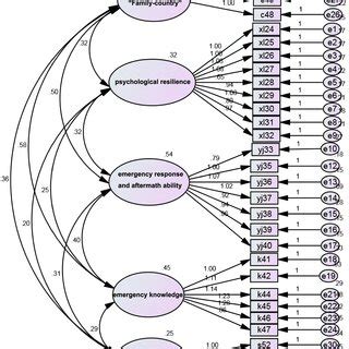 Image result for Medical Competency Examples