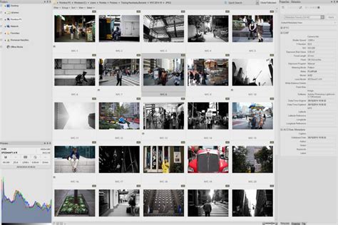 Image result for ACDSee Pro 8 Tutorial