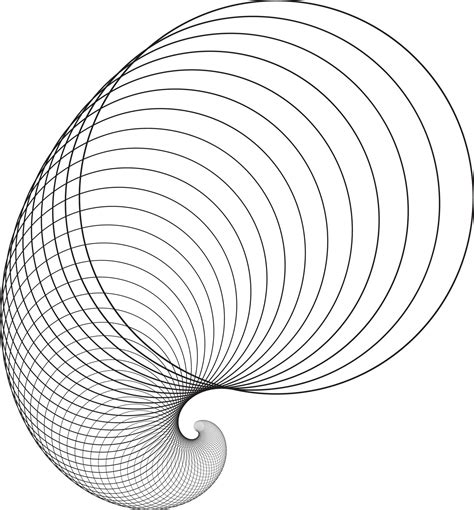 Image result for Simple Circle Pattern PowerPoint