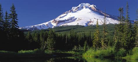 Image result for Python Mounten