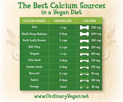 Image result for Good Calcium Sources