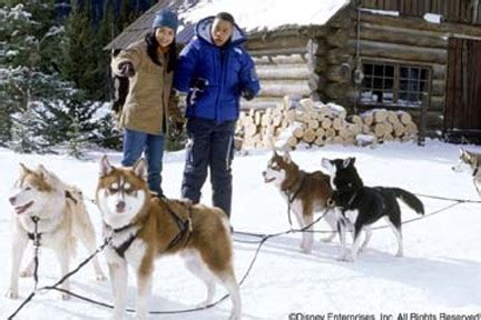 Image result for Snow Dogs Cast