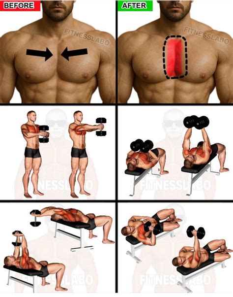 Image result for Build Chest Muscles