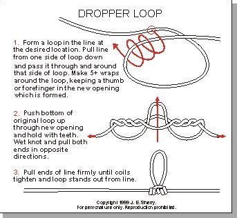 Image result for Dropper Loop Knot Instructions