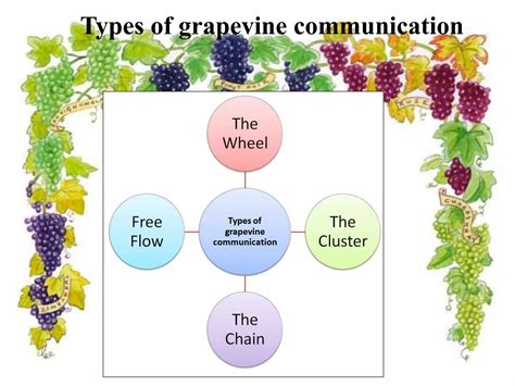 Image result for Grapevine Communication Process