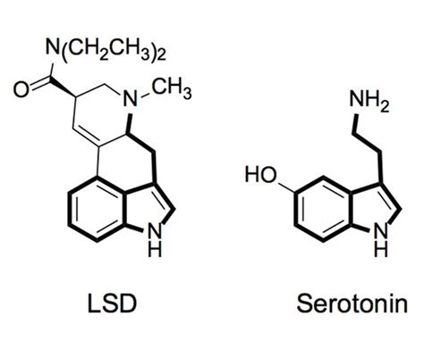Image result for Pro Comp LSD