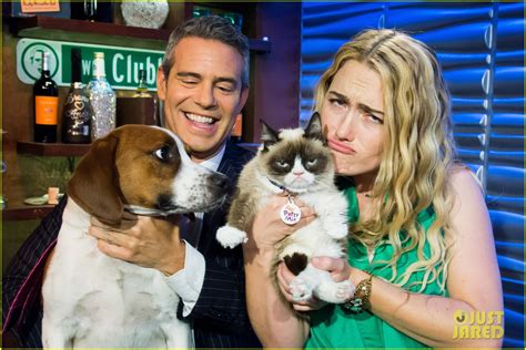 Image result for Grumpy Cat Owner