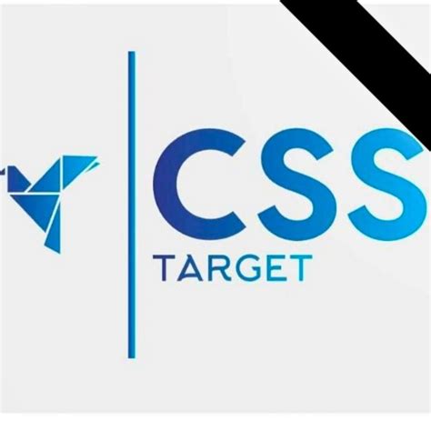 Image result for CSS Target Institute