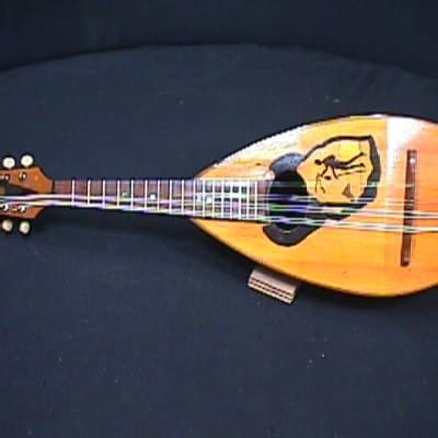 Image result for Round Back Mandolin