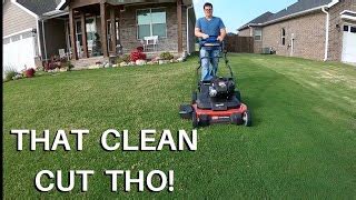 Image result for Toro TimeMaster Dethatcher Attachment