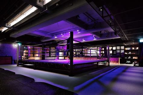 Image result for Boxing Gym Design