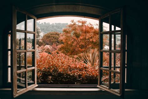 Image result for View Thru Window