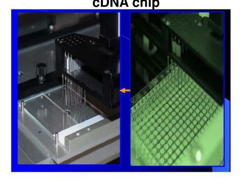 Image result for Microarray Chip