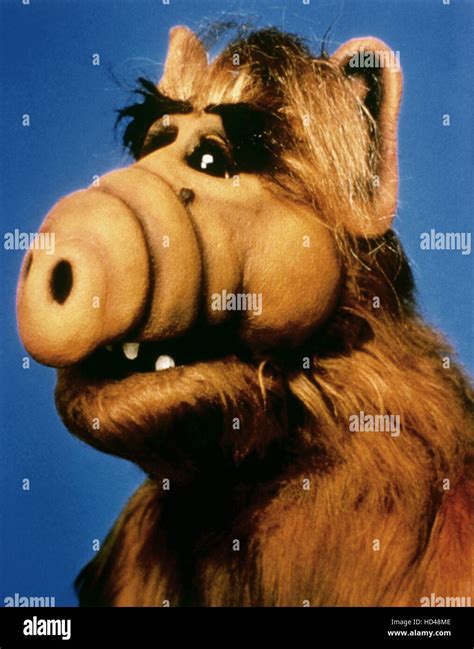 Image result for Alien Productions Alf