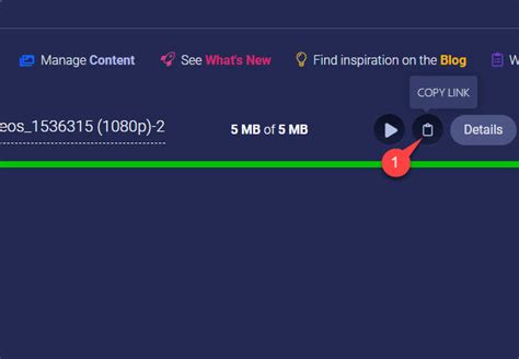 Image result for Video Link