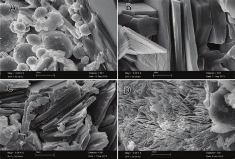 Image result for Sem Interpretation