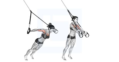 Image result for Fly Press Workout