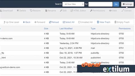 Image result for cPanel File Manager