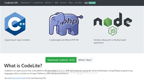 Image result for CodeLite GUI