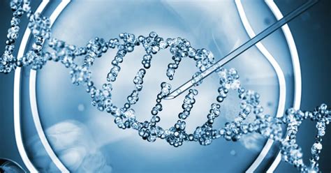 Image result for Microevolution