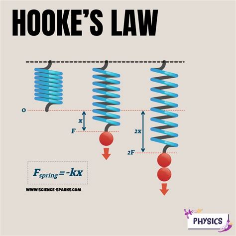 Image result for Spring Hooke Physics