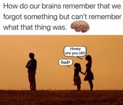 Image result for Implicit Memory Meme