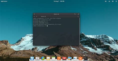 Image result for Elementary OS Installation