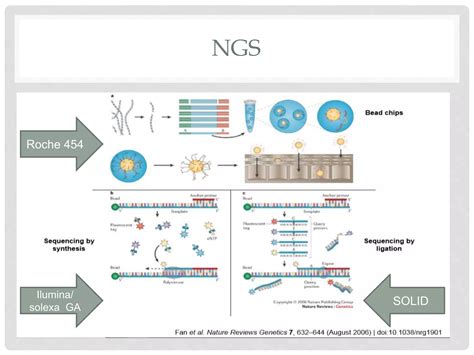 Image result for Next-Generation Sequencing Tutorial