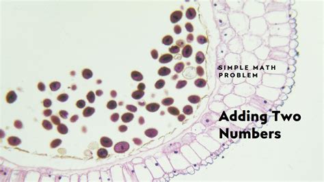 Image result for Explain Add Two Numbers