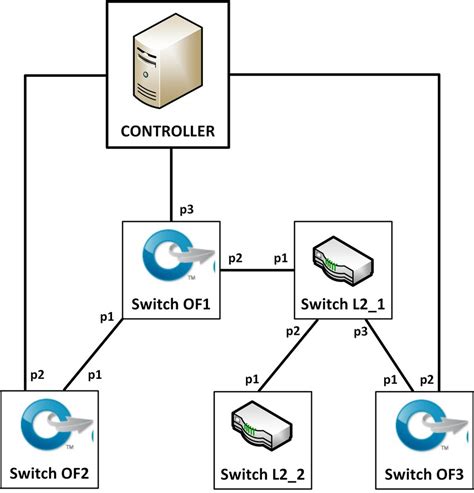 Image result for OpenFlow API Hybrid