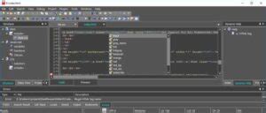 Image result for CodeLobster IDE