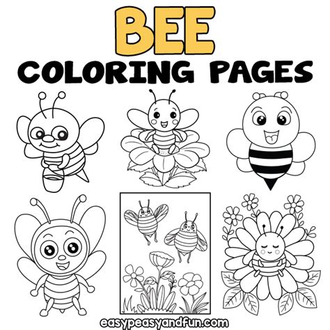 Image result for Simple Coloring