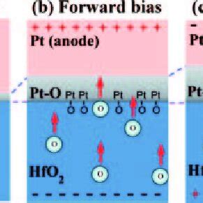 Image result for Pca21 HfO2