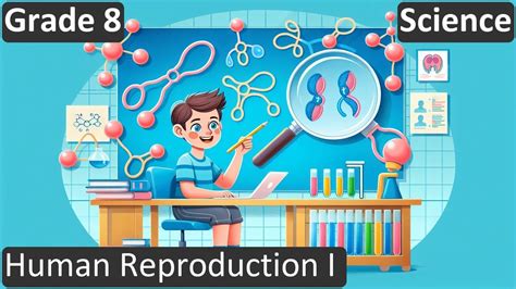 Image result for Reproduction in Humans Class 8