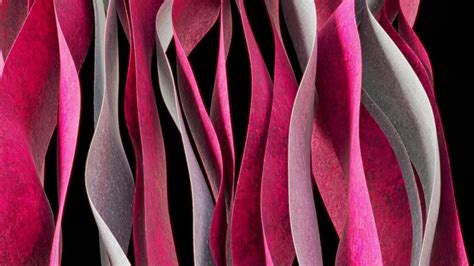 Image result for Colorfull Patterns