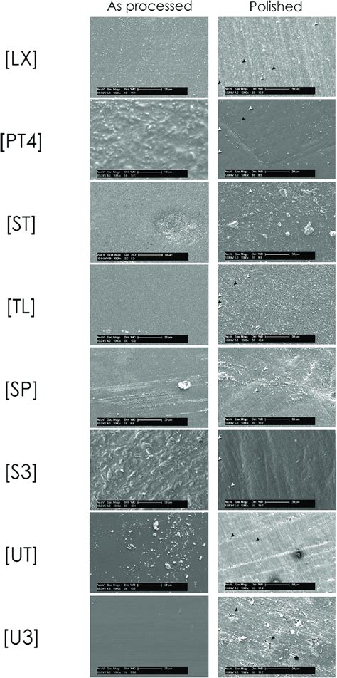 Image result for Electron Microscope Magnification