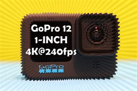 Image result for GoPro 12