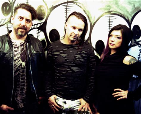 Image result for Primitive Evolution