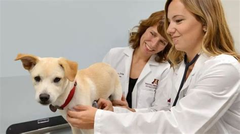 Image result for Colleges with Animal Science Programs