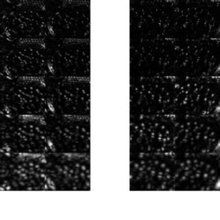 Image result for Gabor Filter Applications