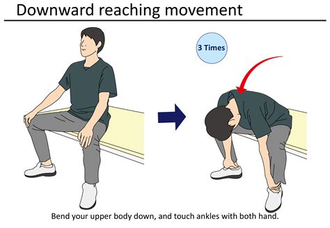 Image result for Trunk Bender Exercise