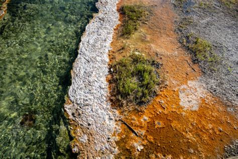 Image result for Geyser Pool