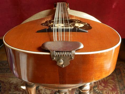 Image result for 12 String Mandolin